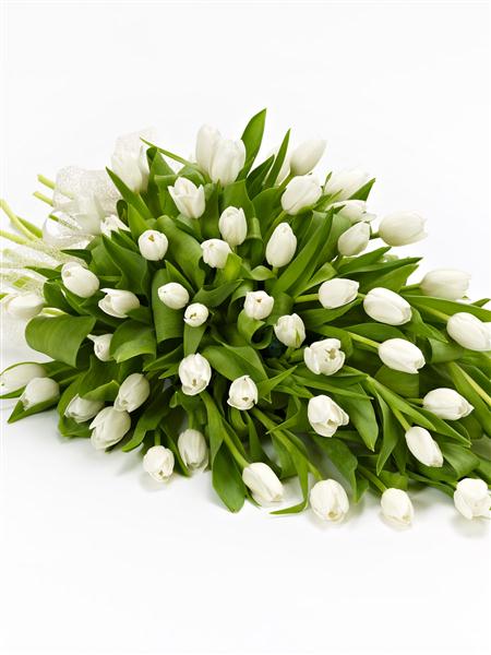 Tulip Posy - Funeral Flowers